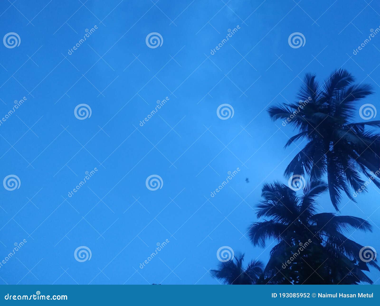 Evening Time Sky View Background Stock Photo - Image of lighting, dusk ...