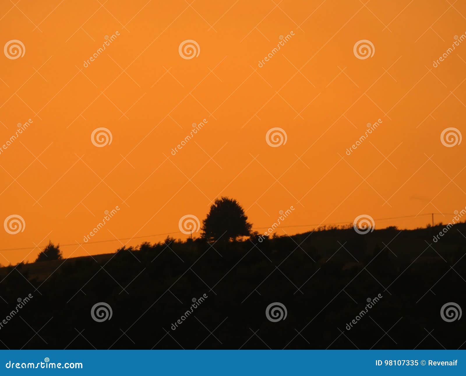In The Evening, The Tree Silhouette, Royalty-Free Stock Photography ...