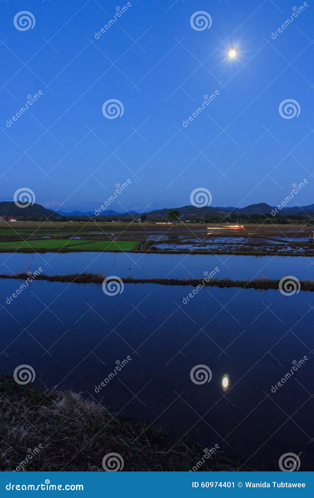 Evening, twilight stock image. Image of orange, background - 60974401