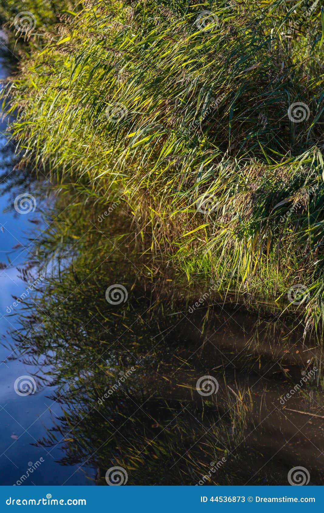 Vecherniy Stock Photos - Free & Royalty-Free Stock Photos from Dreamstime