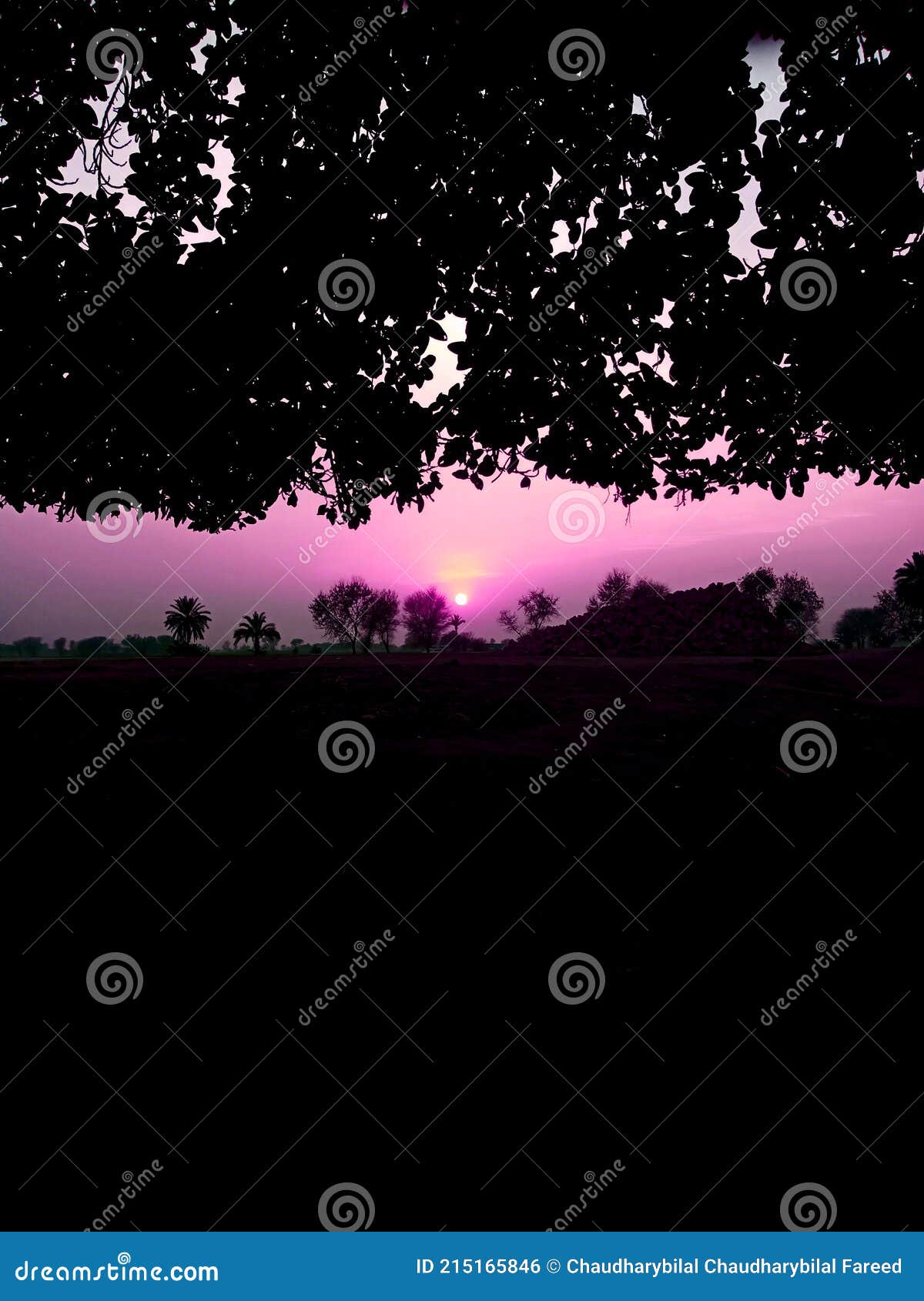 Evening a Very Good Time Today Stock Photo - Image of evening, time ...