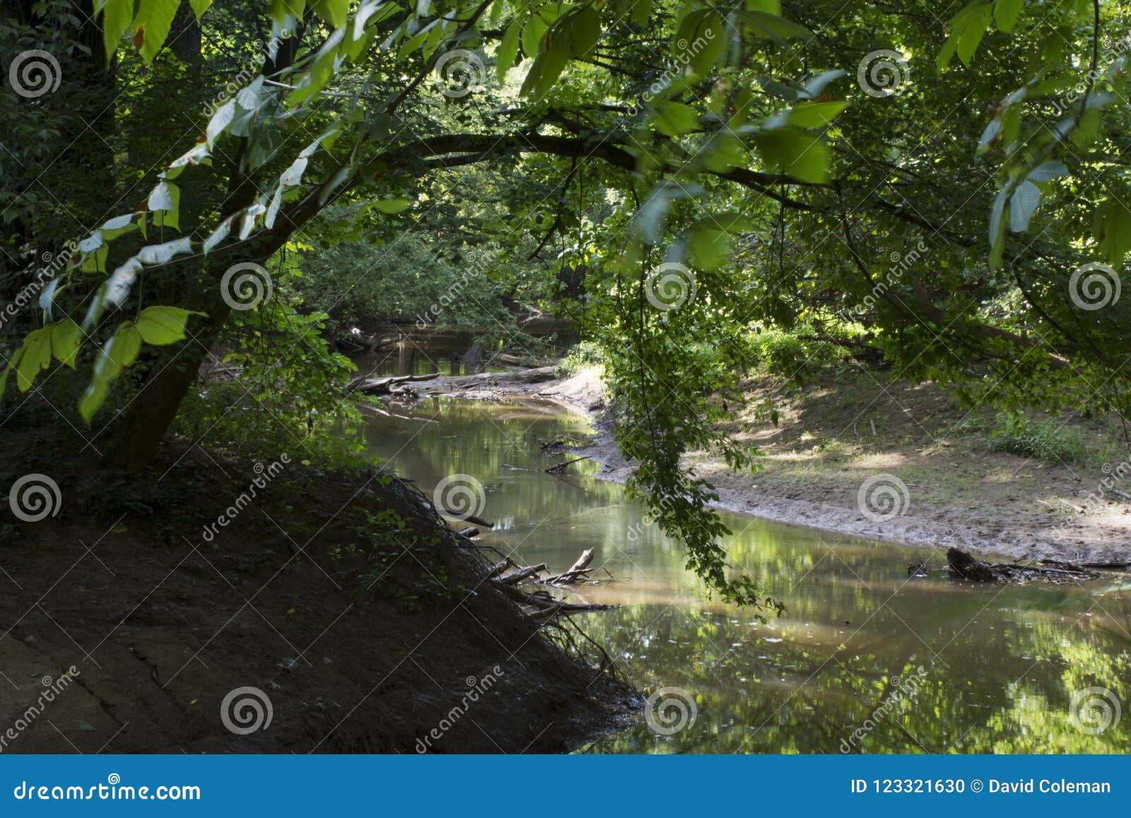 Evening View of Small Stream Stock Photo - Image of leaf, filled: 123321630