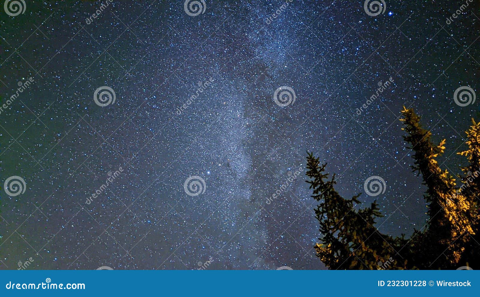Evening View of a Starry Night with Trees Foreground Stock Photo ...