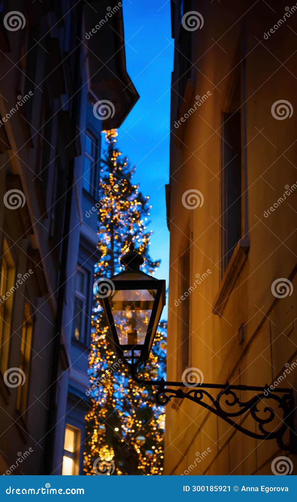 Evening View with Street Lamp on Blurred Background with Fir Tree I ...