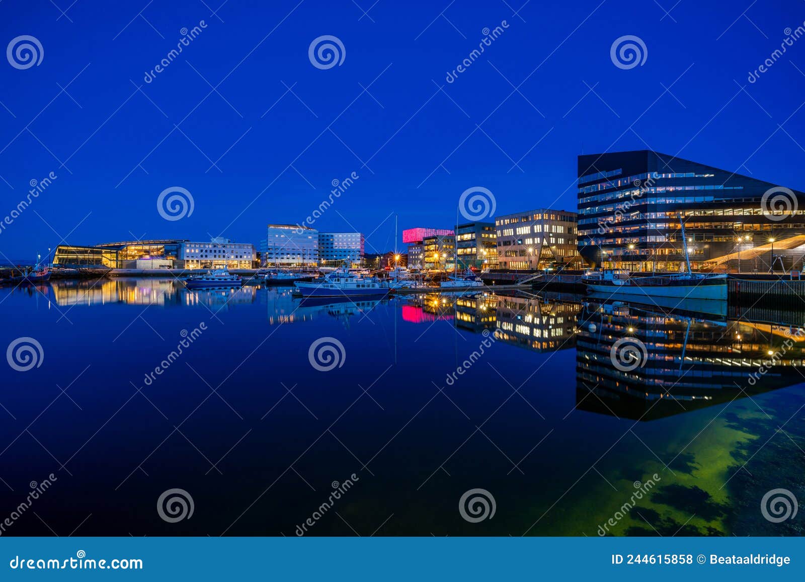 Trondheim harbour, Norway stock photo. Image of reflection - 244615858