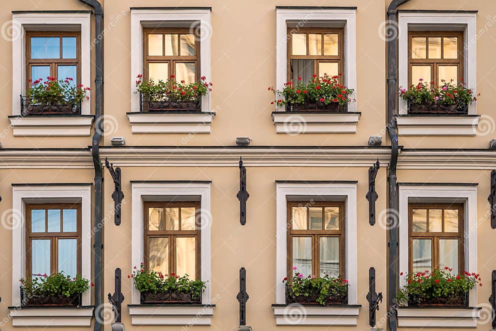 Two Rows of Windows with Flowers Stock Photo - Image of glass ...