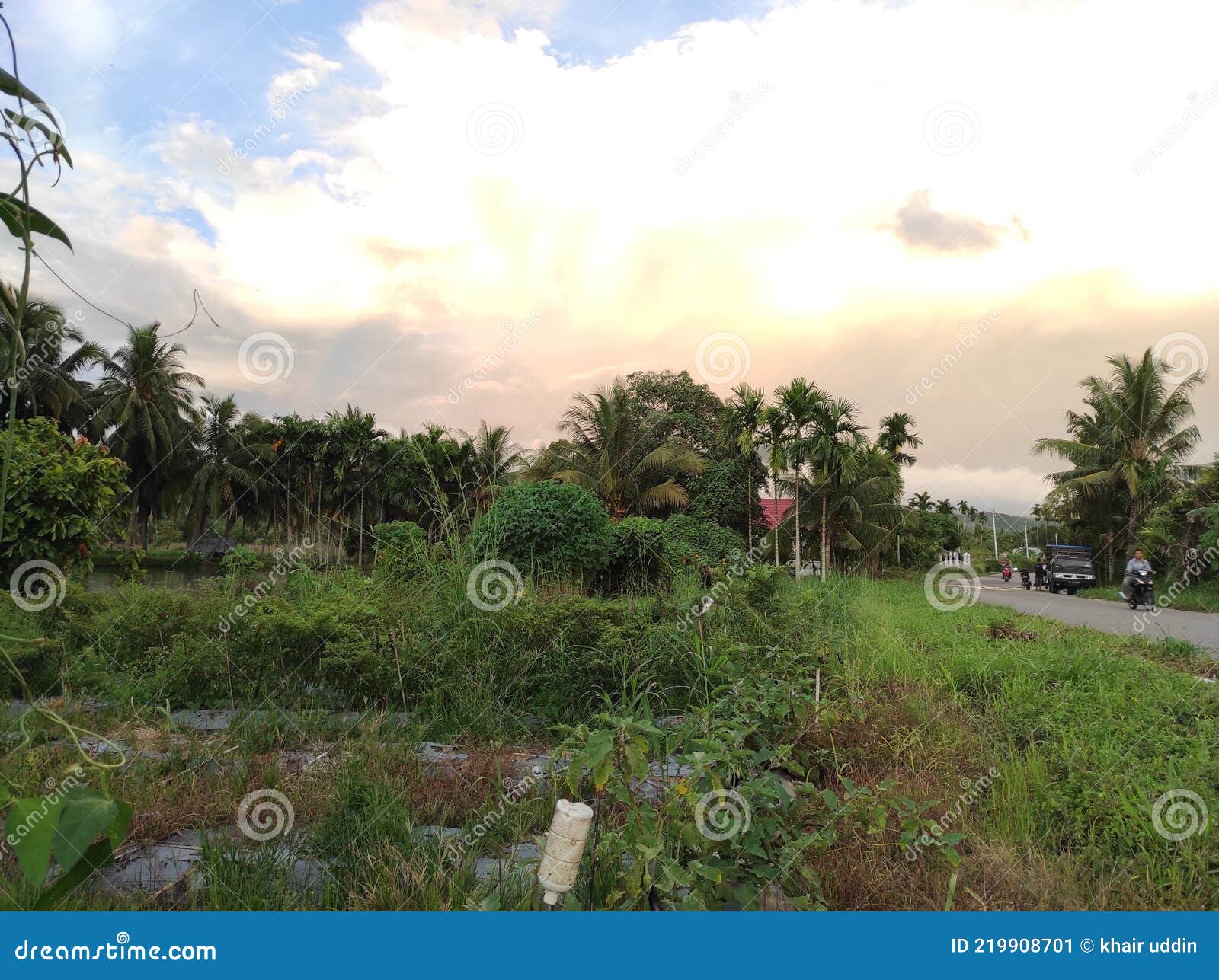 The Evening View of the Village is Most Beautiful Stock Image - Image ...