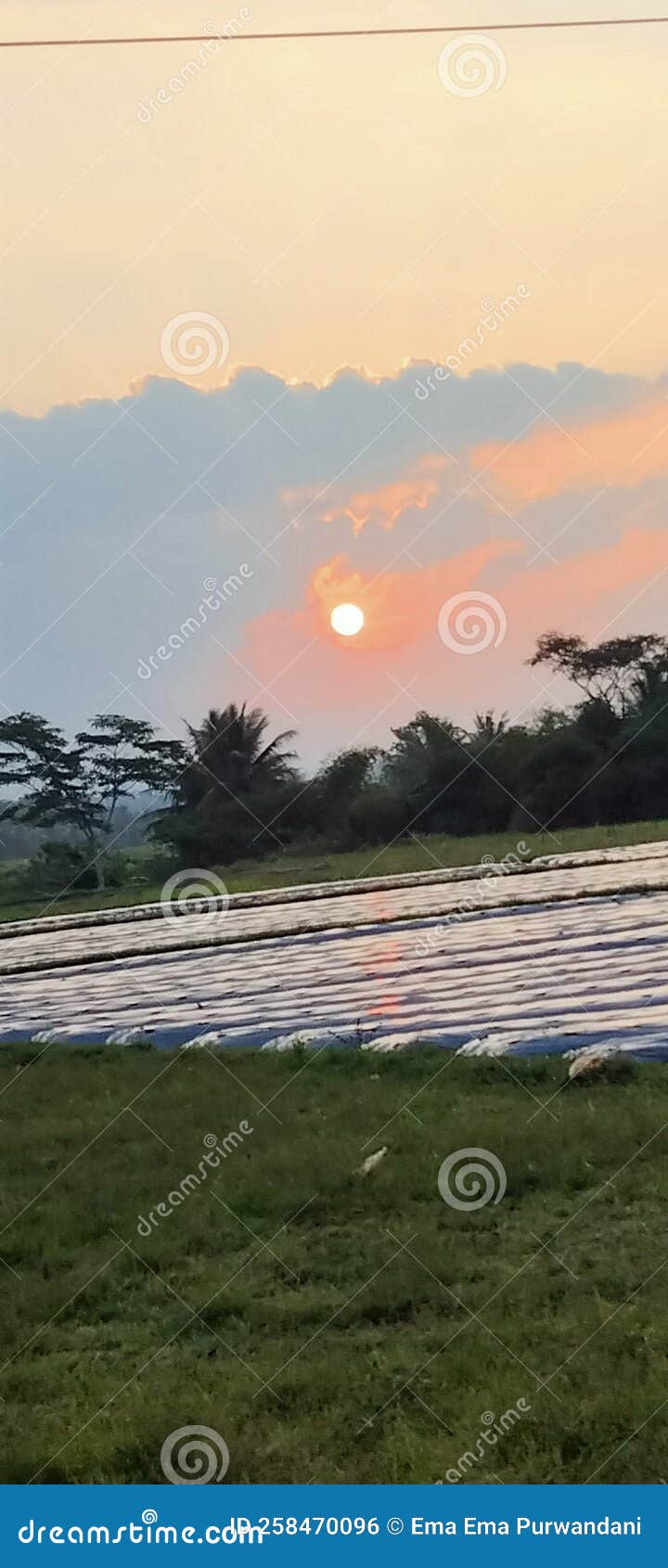 Evening View in the Village Verry Beautiful Stock Photo - Image of ...