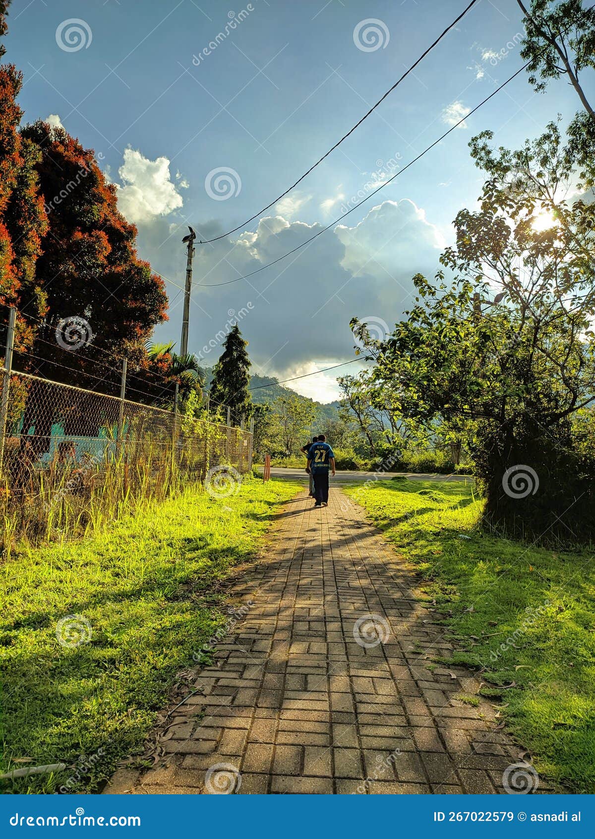 Evening walk in Sorowako stock image. Image of evening - 267022579