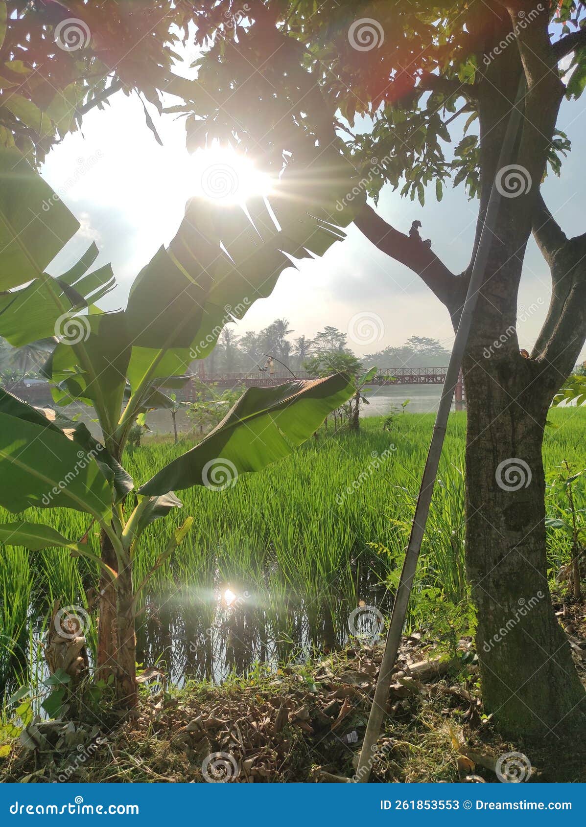 Houseingview Stock Photos - Free & Royalty-Free Stock Photos from ...