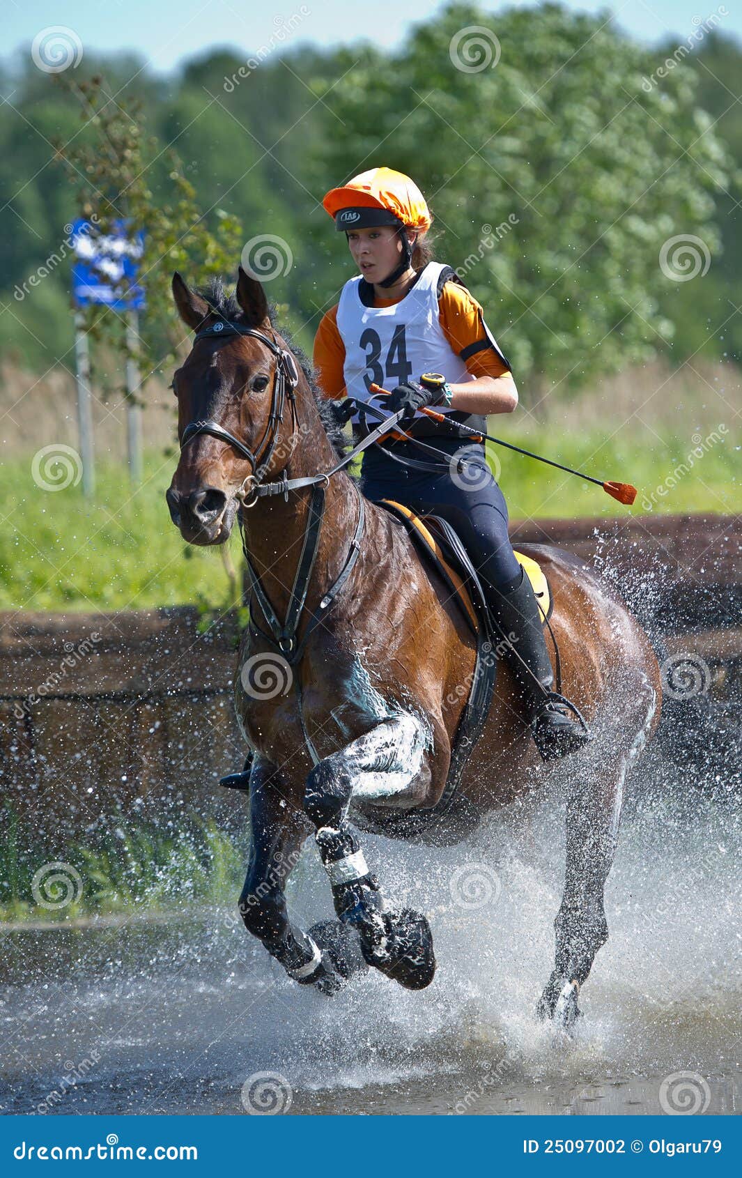 Eventer on Horse is Overcomes the Water Jump Editorial Photography ...