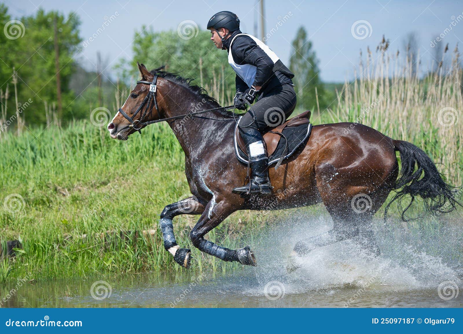 Eventer on Horse is Overcomes the Water Jump Editorial Photography ...