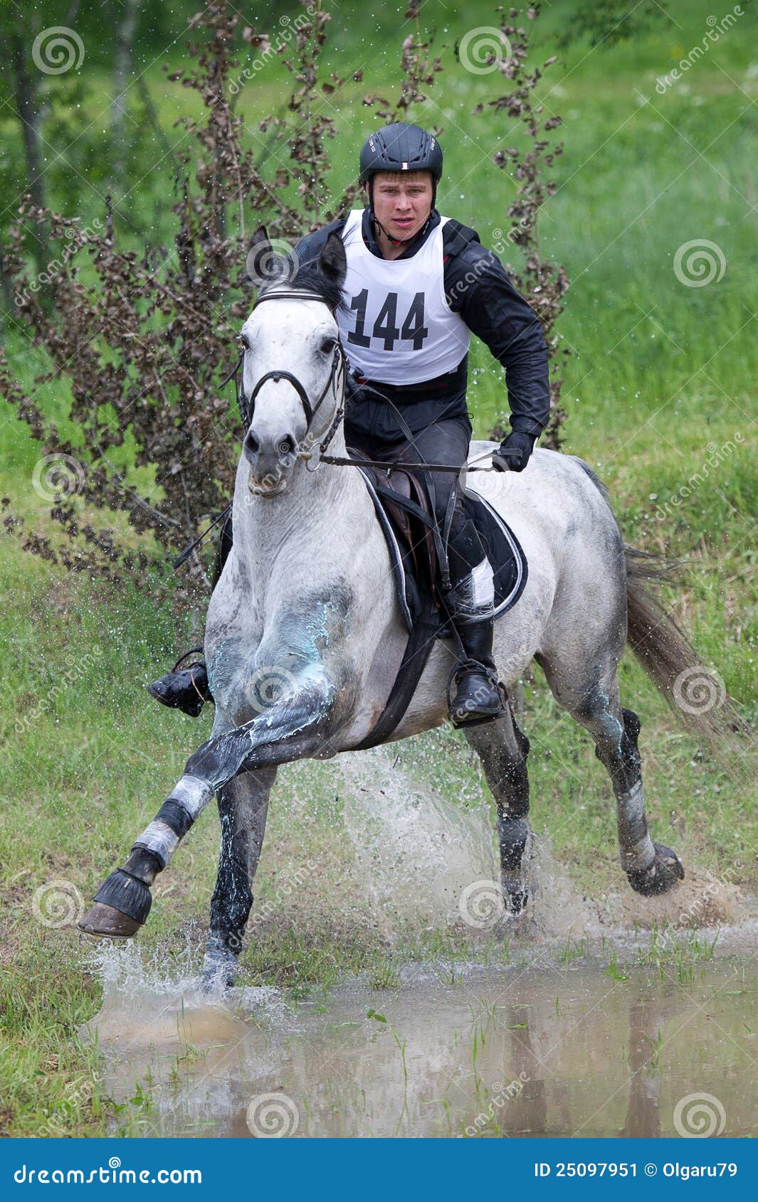 Eventer on Horse is Overcomes the Water Jump Editorial Photo - Image of ...