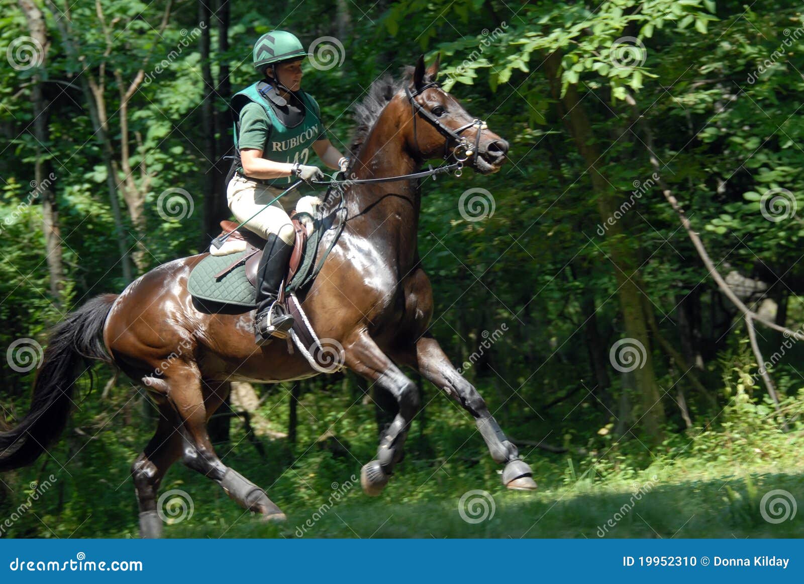 Eventing editorial image. Image of woman, active, trials - 19952310
