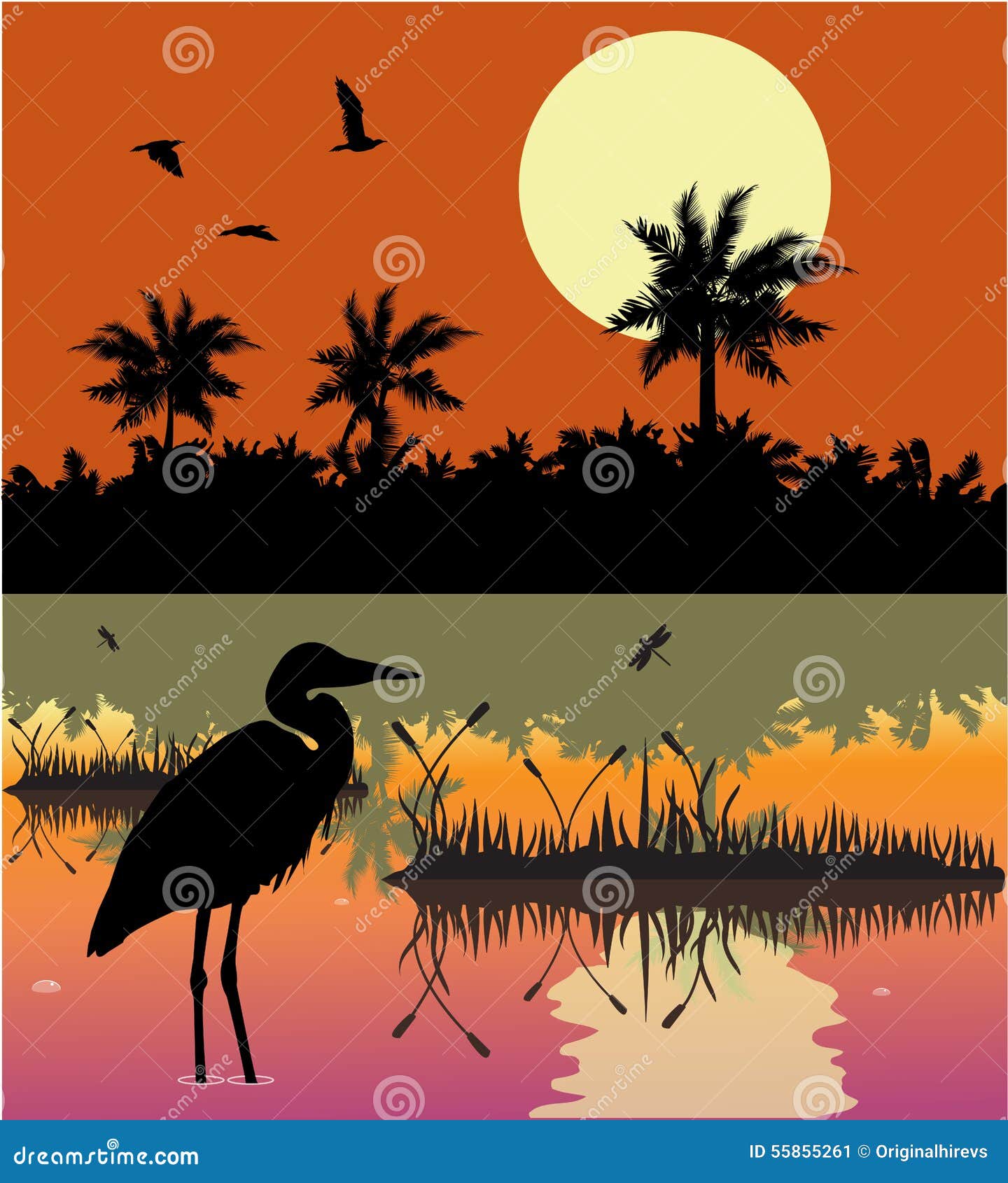 Everglades Stock Illustrations, Vecteurs, & Clipart – (123 Stock ...
