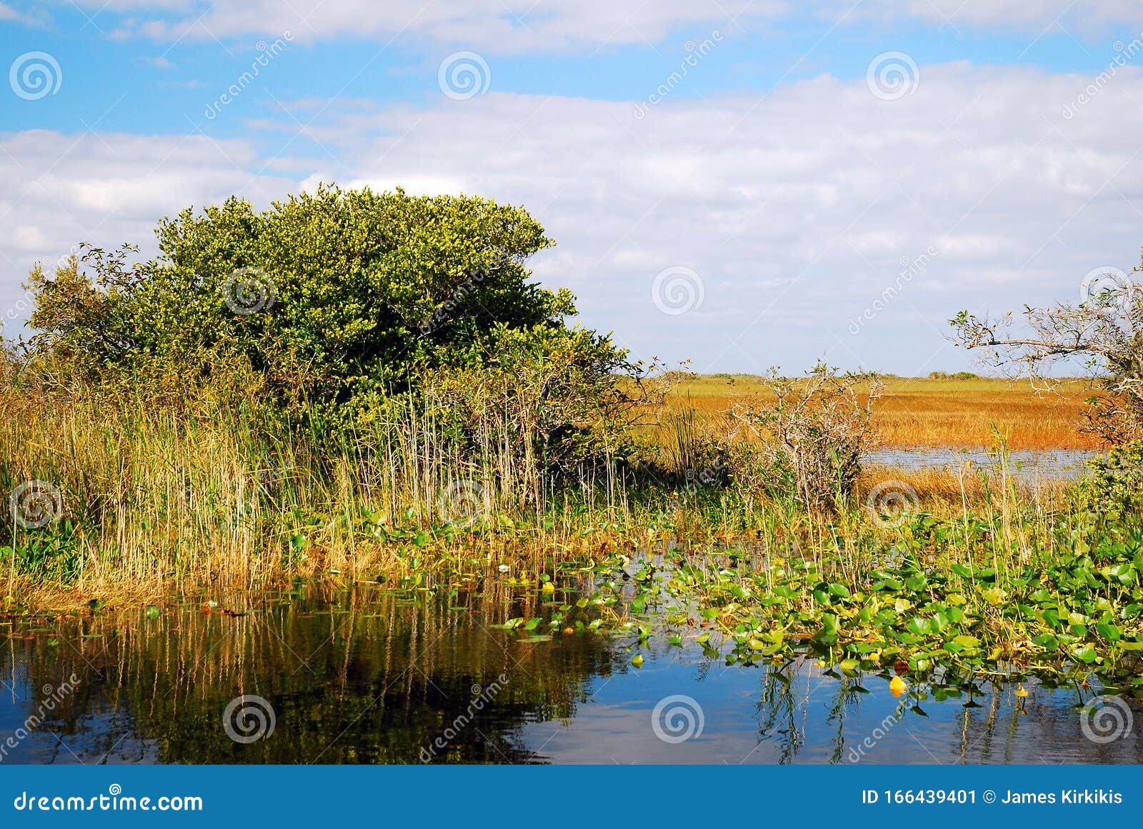 Marshland of Everglades National Park Editorial Photo - Image of ...