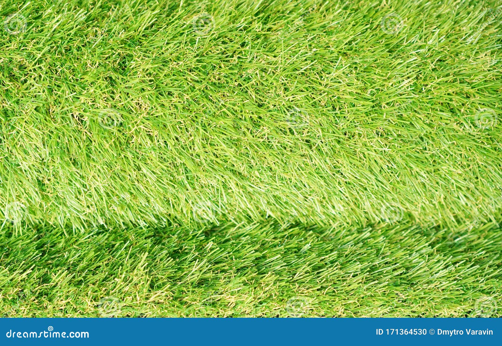 Evergreen artificial turf stock photo. Image of natural - 171364530