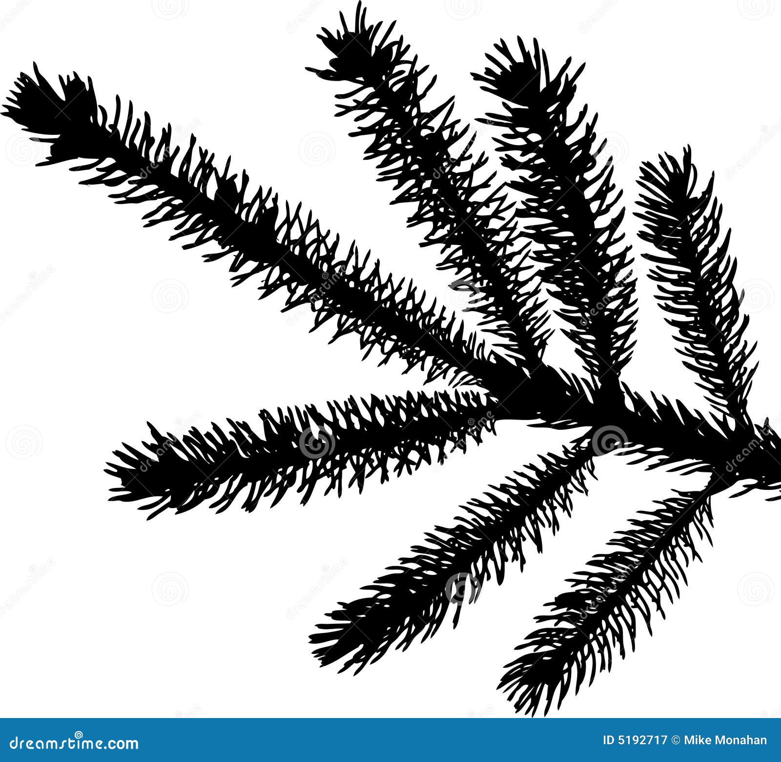 Evergreen Branch Silhouette Stock Vector - Illustration of shape ...
