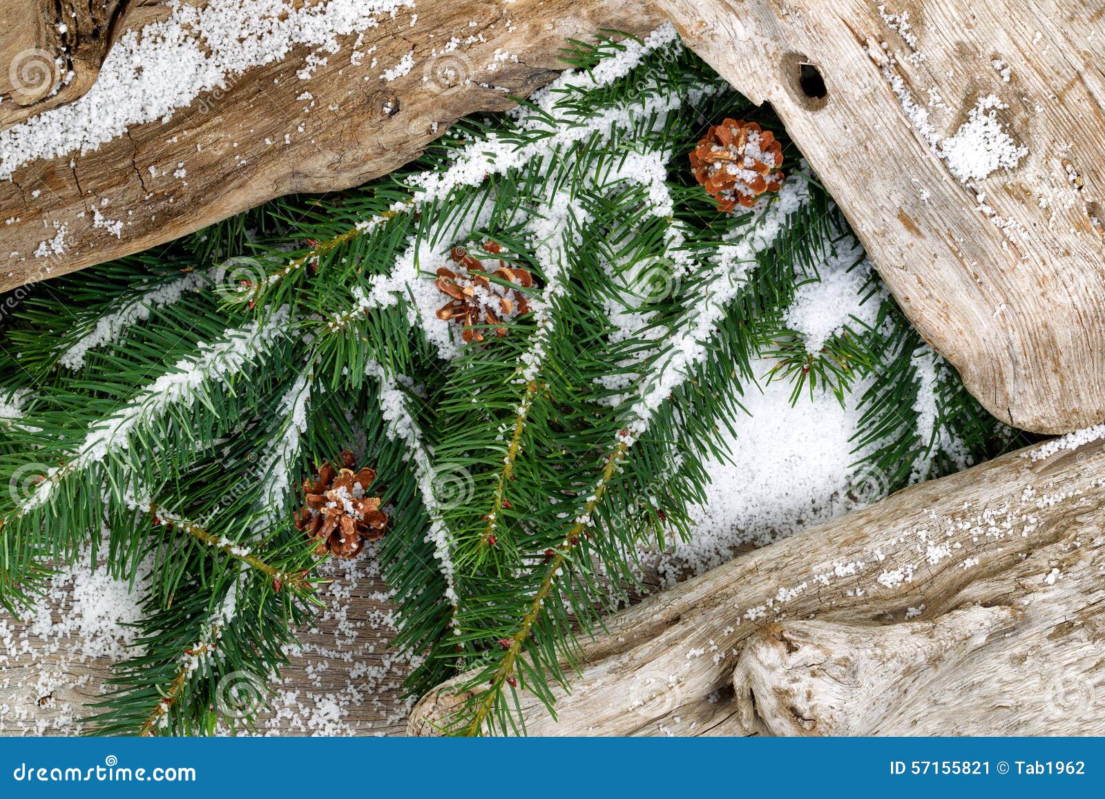 Evergreen Branches and Rustic Driftwood Covered with Snow Stock Image ...