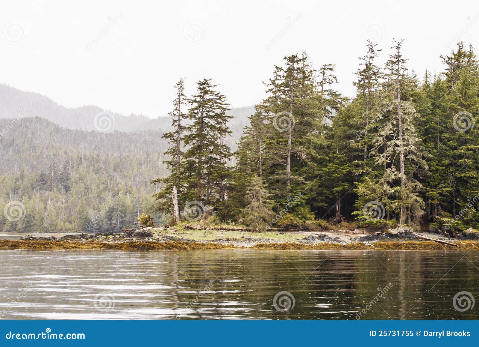 Evergreen Covered Point in Calm Water Stock Image - Image of land ...