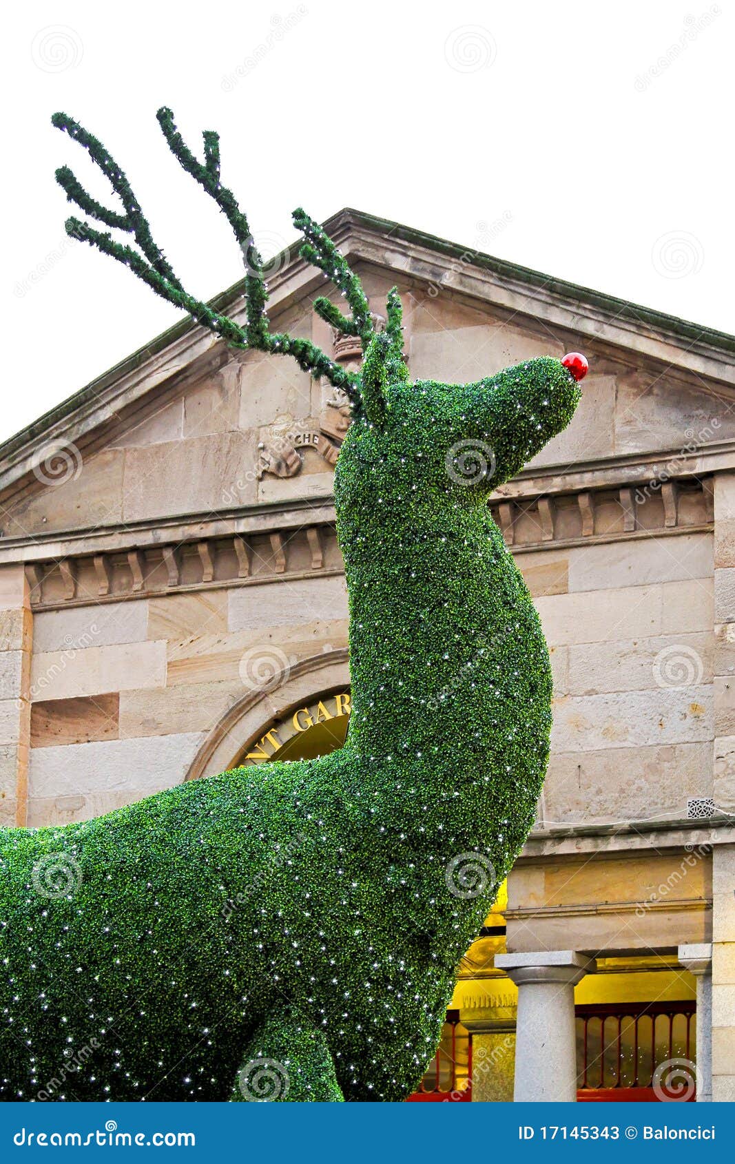 Evergreen deer stock image. Image of christmas, traditional - 17145343