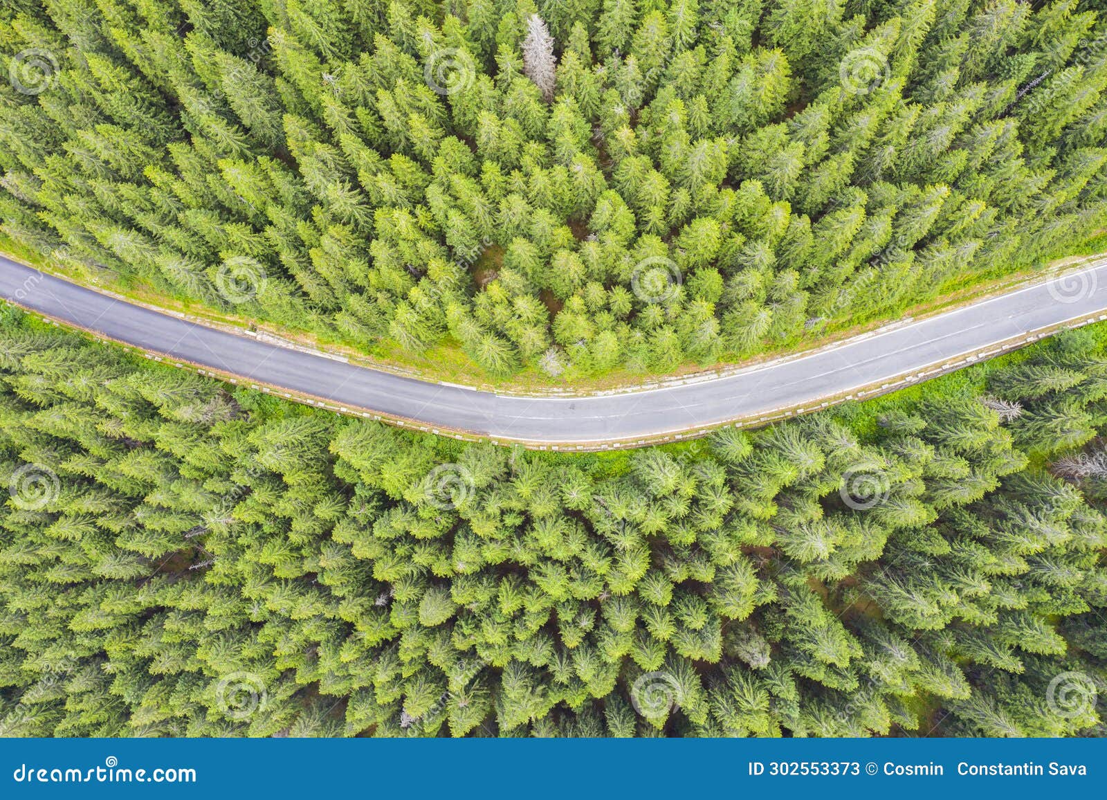 Evergreen Forest Road from Above Stock Image - Image of beauty, curve ...