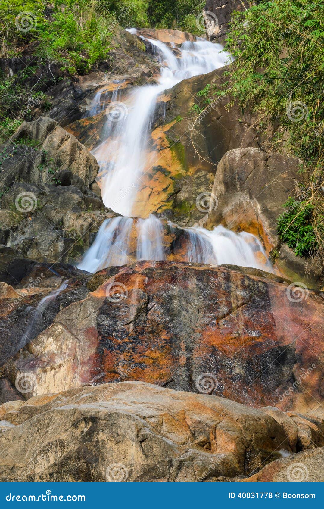 Evergreen forest waterfall stock photo. Image of nature - 40031778