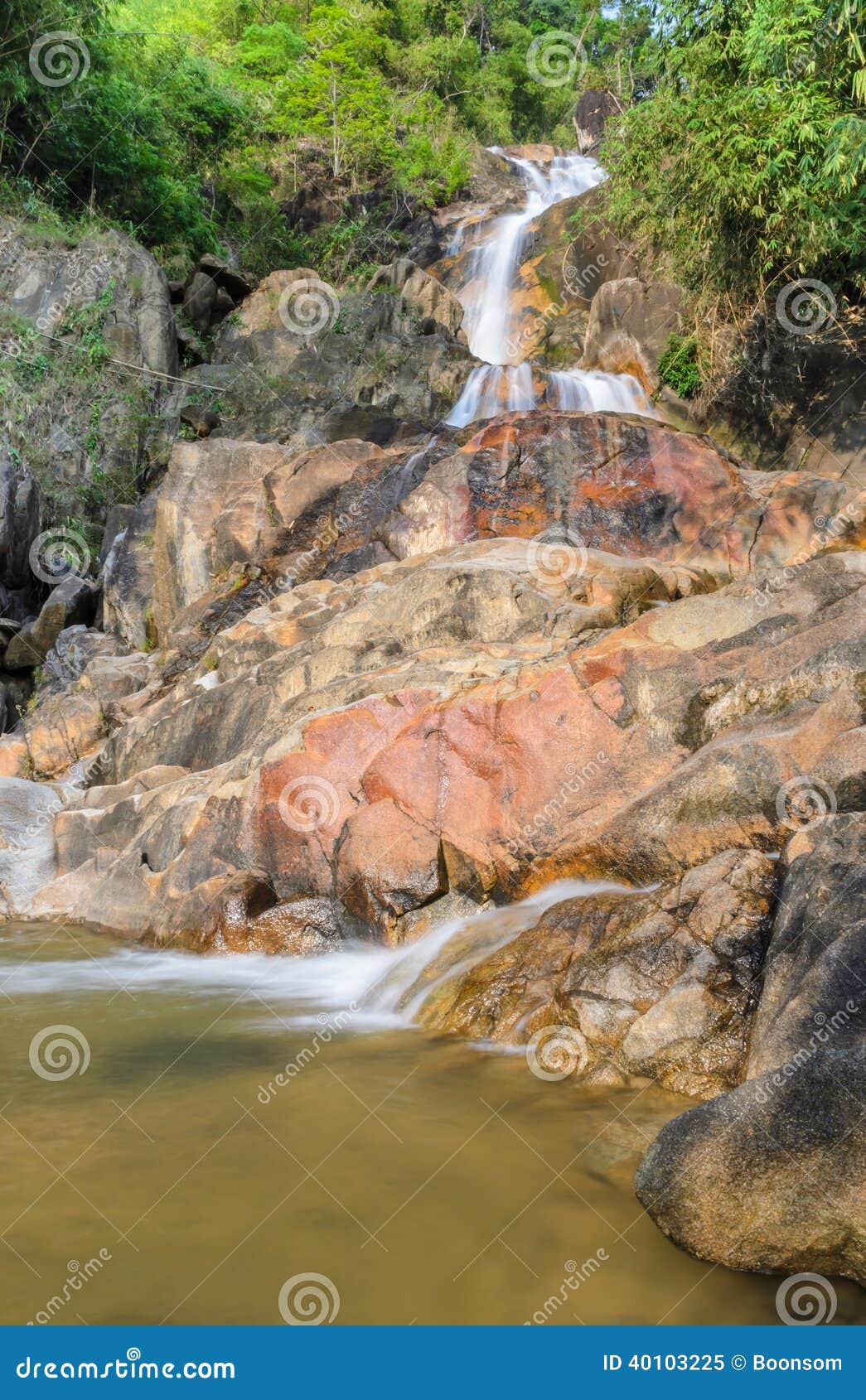 Evergreen forest waterfall stock image. Image of splash - 40103225