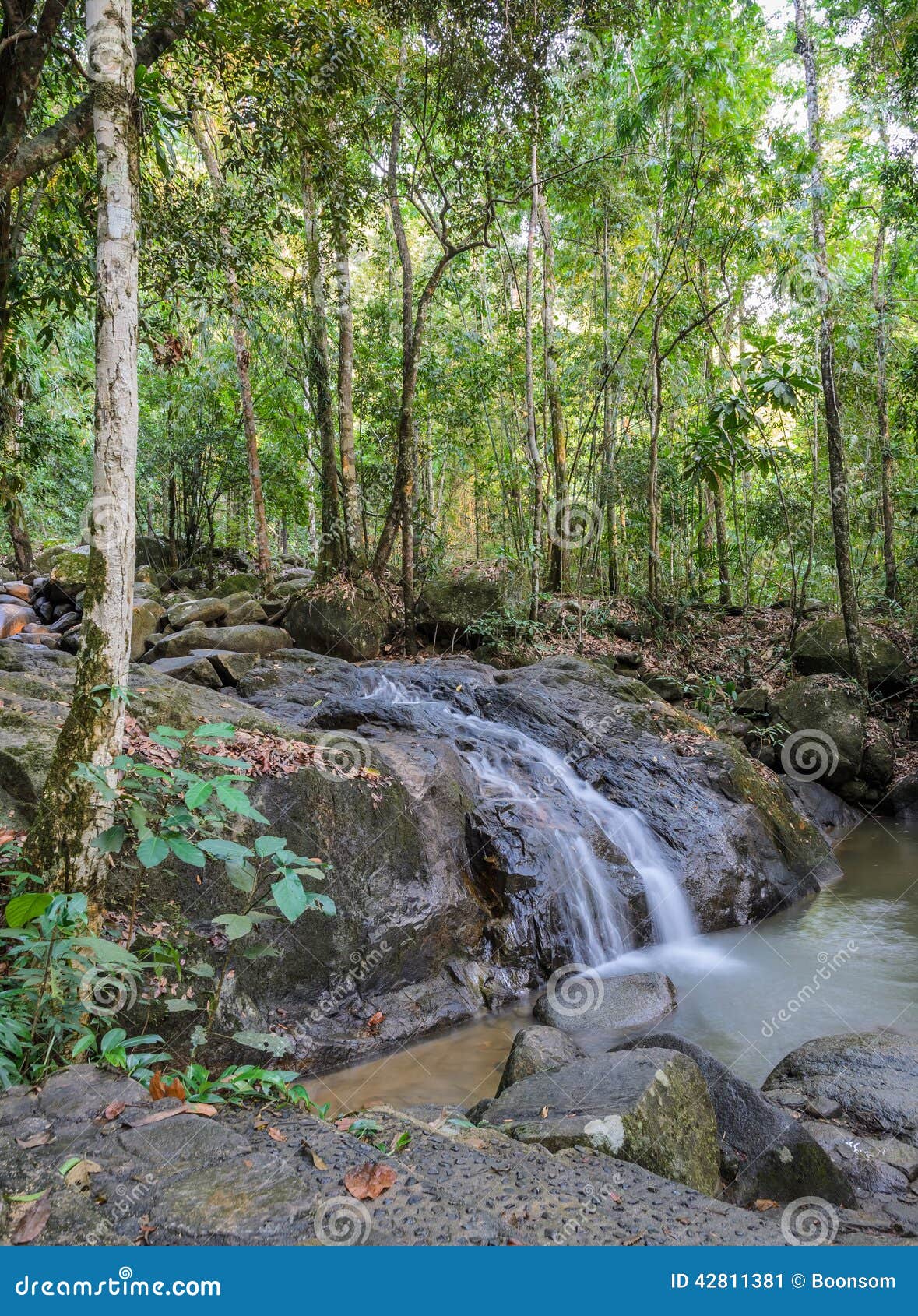 Evergreen forest waterfall stock image. Image of motion - 42811381
