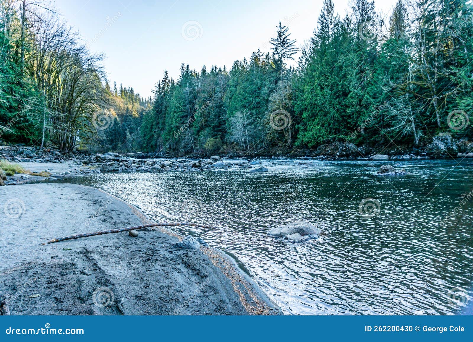 Evergreen Northwest River stock photo. Image of forest - 262200430