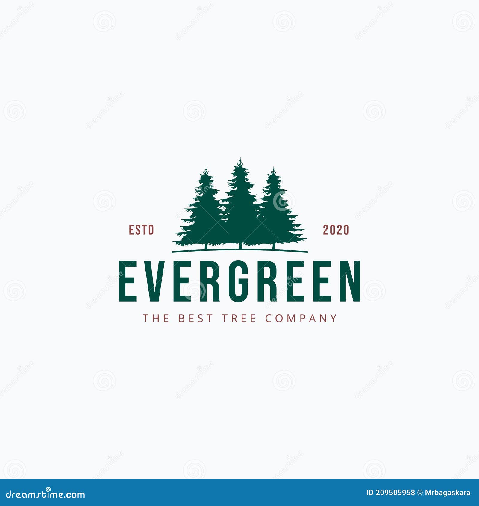 Evergreen Pine Tree Vintage Logo Vector Illustration Design Stock ...