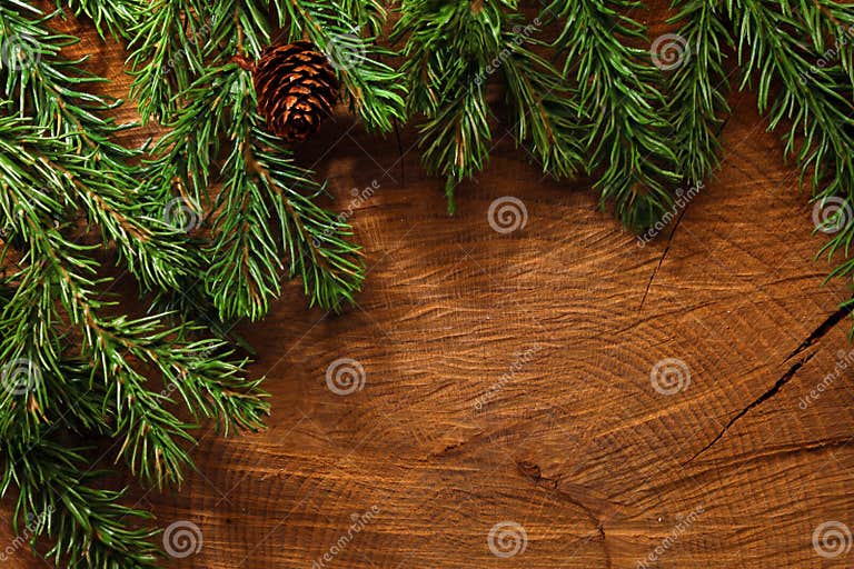 Evergreen tree background stock photo. Image of green - 47330566