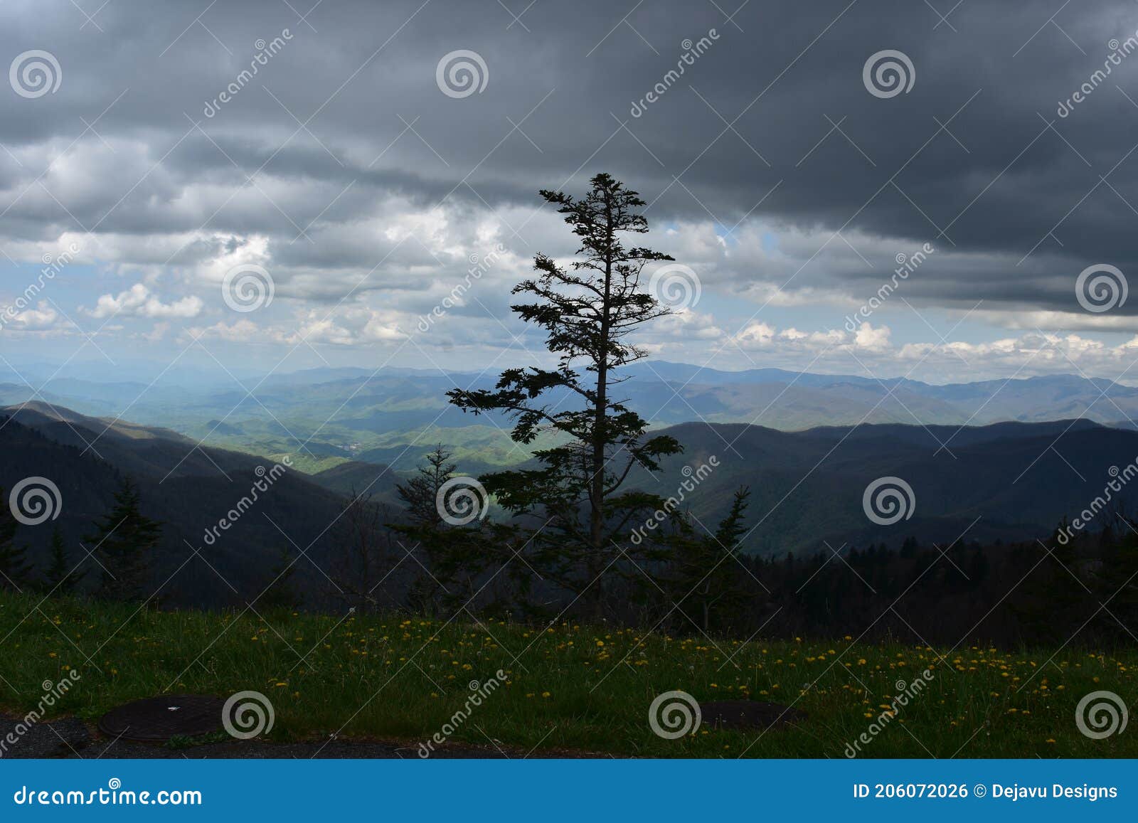 Evergreen Tree Silhouetted in the Blue Ridge Mountains Stock Photo ...