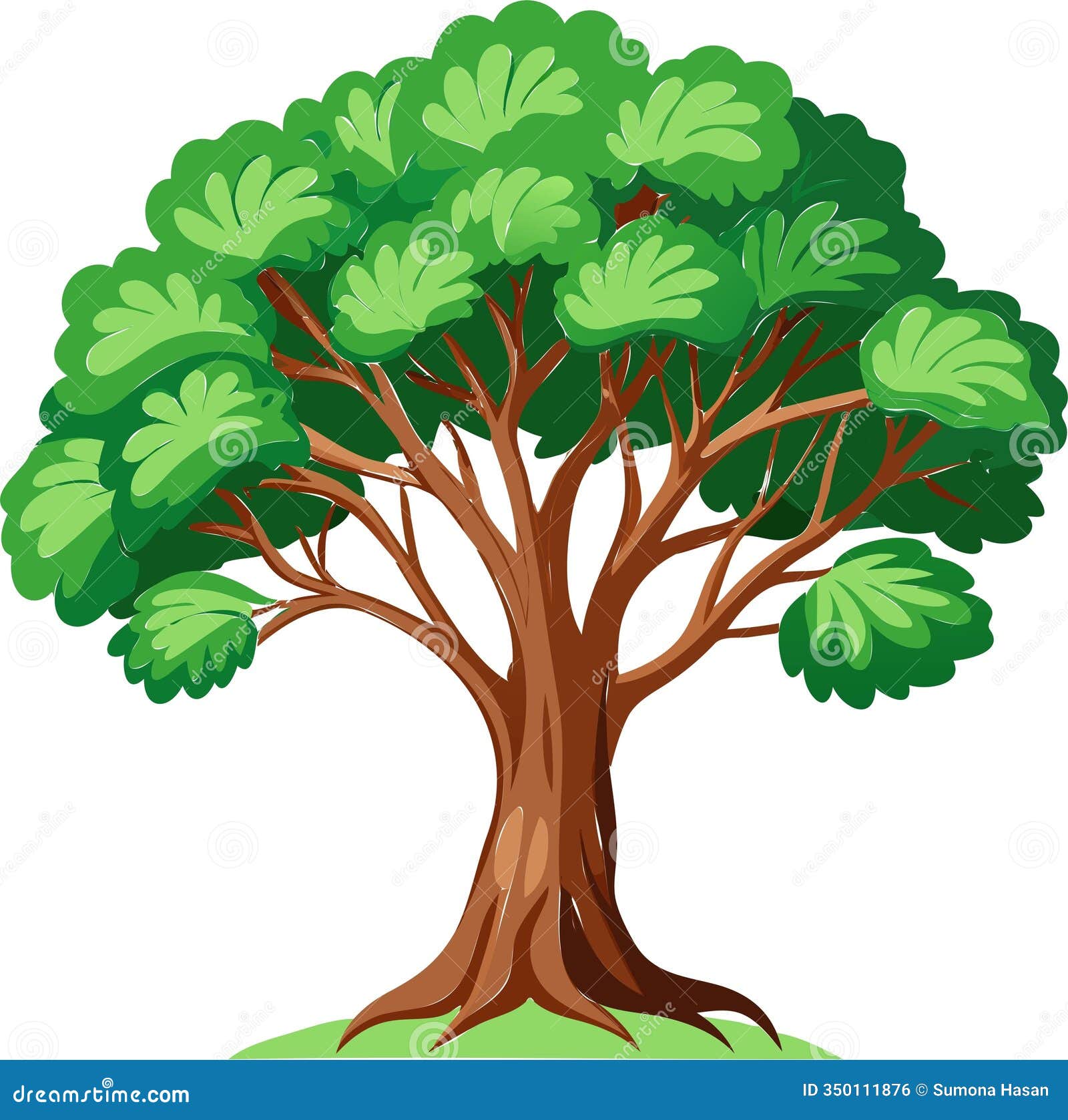 Evergreen Tree Vector for Eco Projects Stock Illustration ...