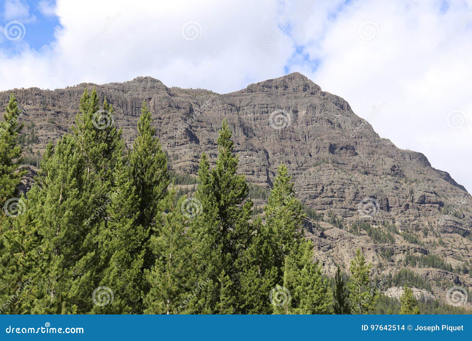 Evergreen Trees and Mountain Stock Photo - Image of pretty, tranquil ...