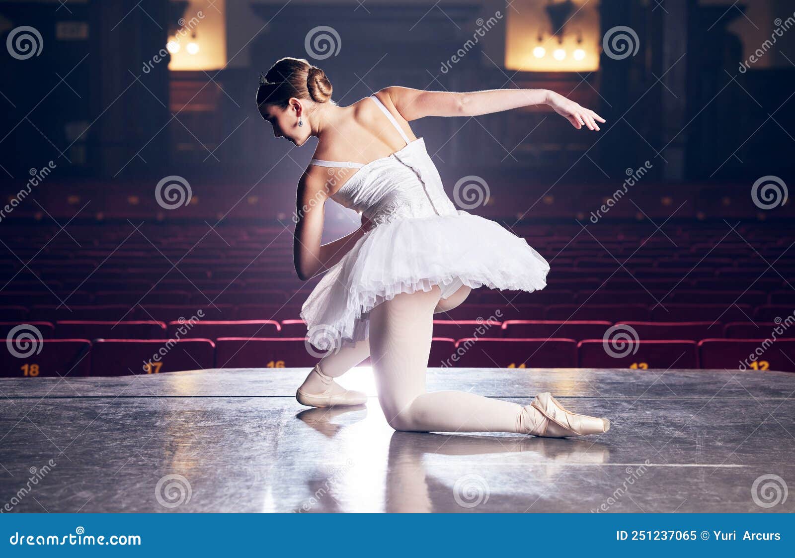 Every Dance is a Chance for Improvement. a Ballerina Performing Her ...