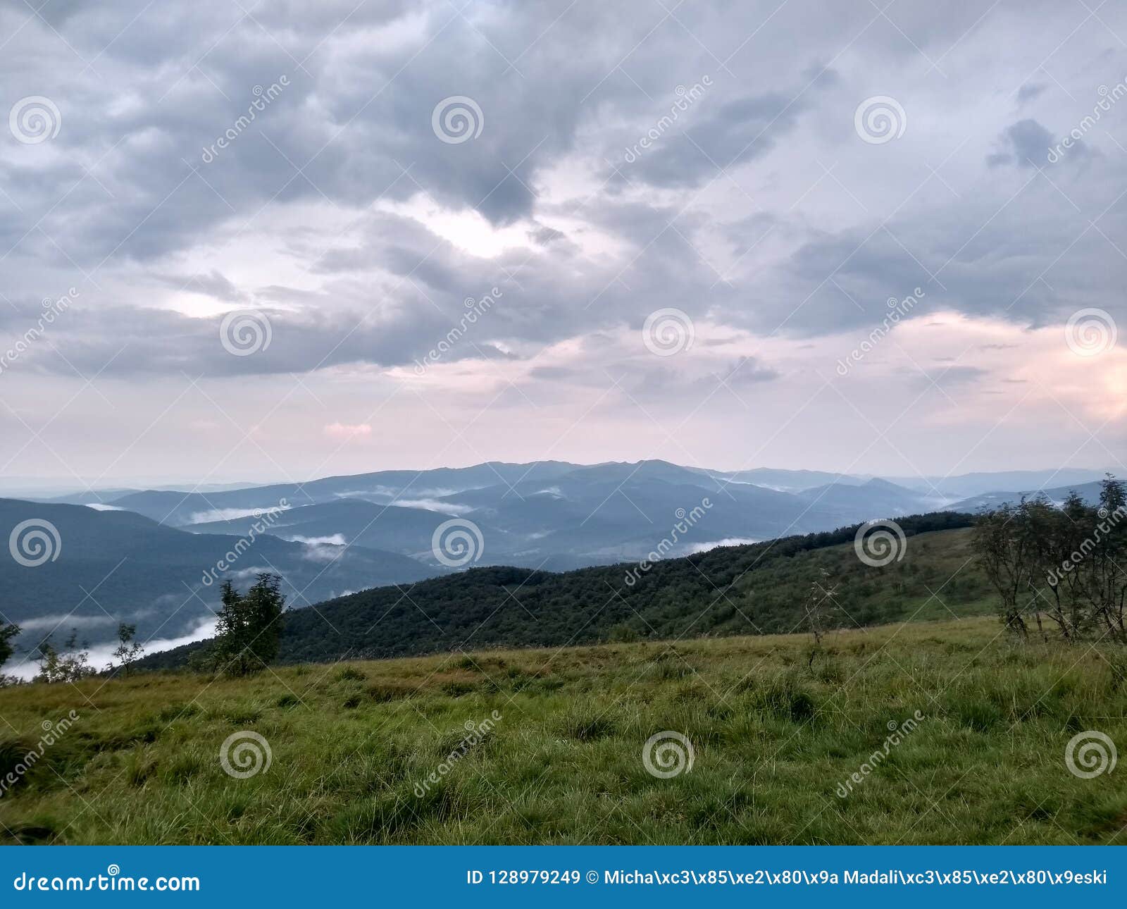 Every day stock image. Image of ground, cloud, fallen - 128979249