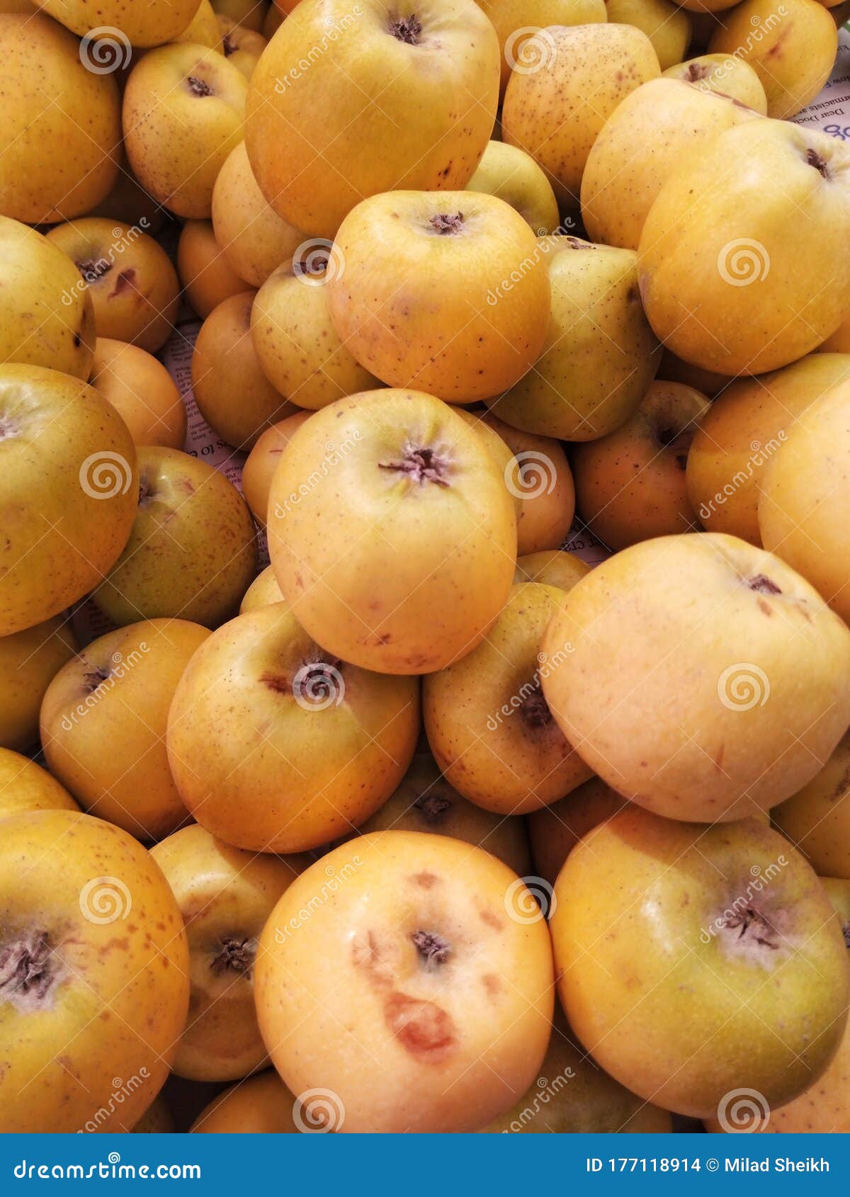 Strong fruit stock photo. Image of citrus, fervit, fruite - 177118914