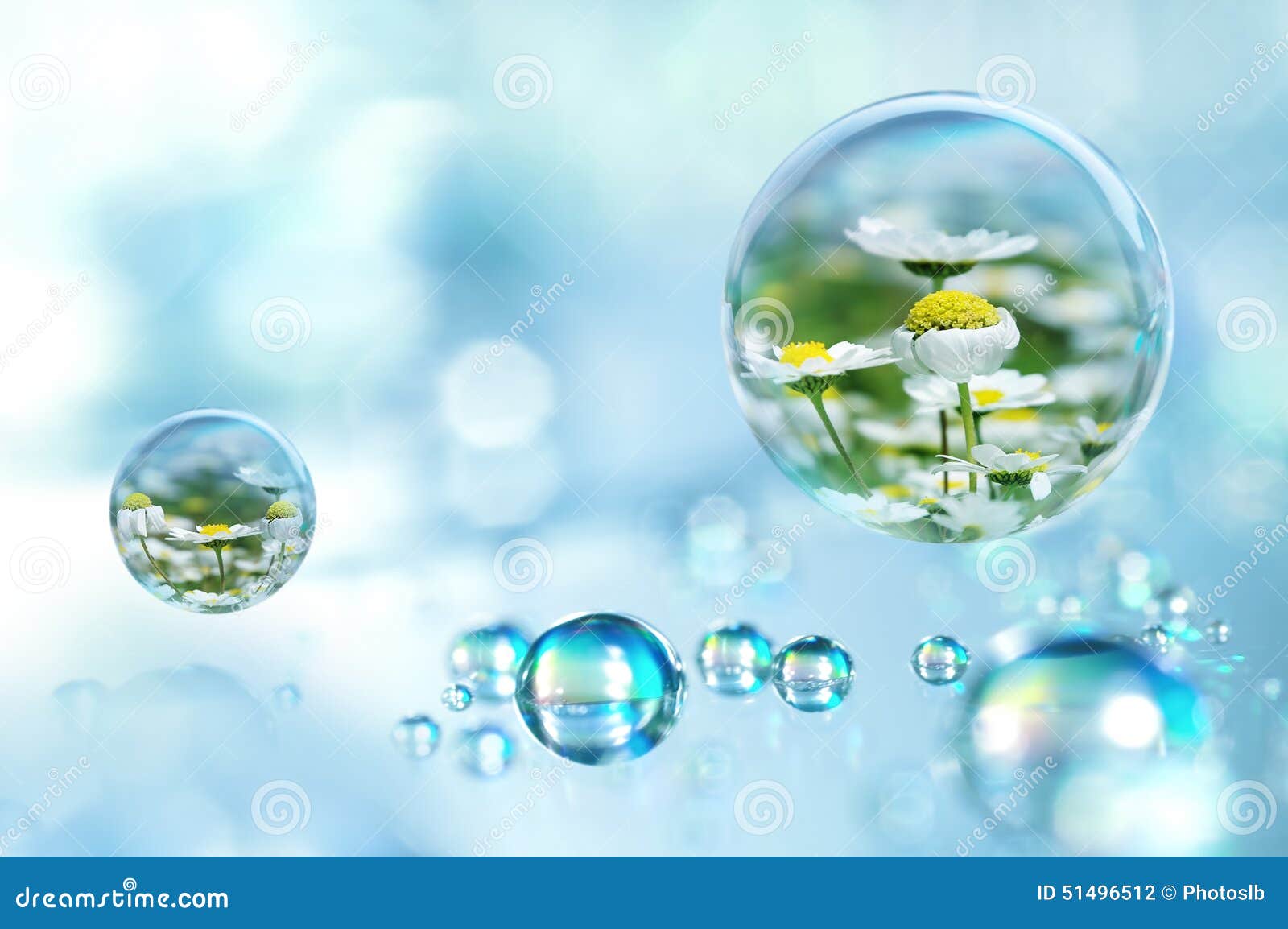 Every Raindrop Has a Spring within Stock Photo - Image of green ...