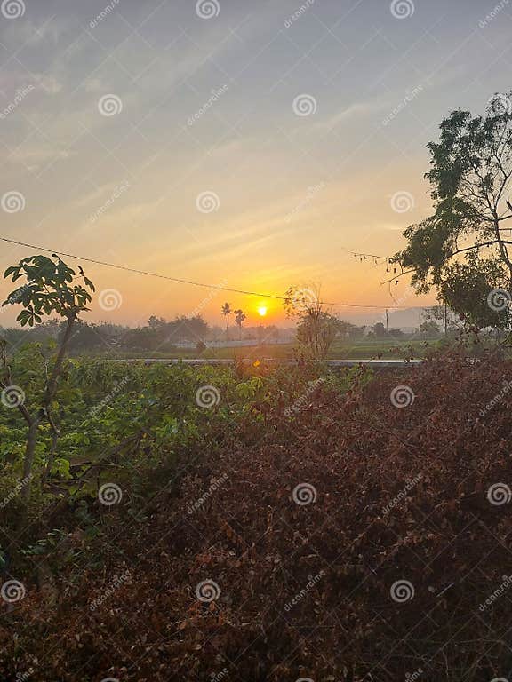 Every Sunrise is a New Beginning Stock Photo - Image of vegetation ...
