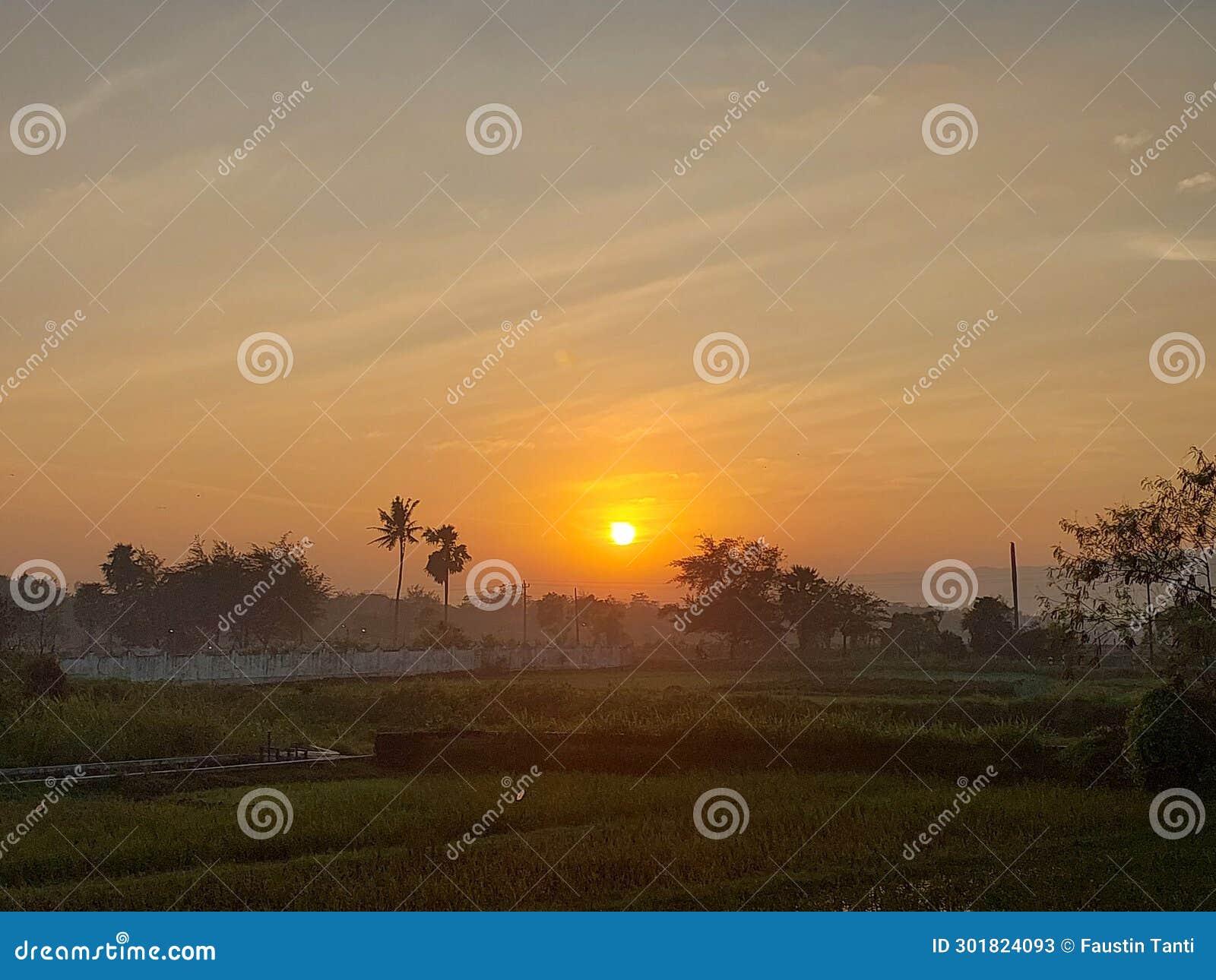 Every Sunrise is a New Beginning Stock Image - Image of jungle, grass ...
