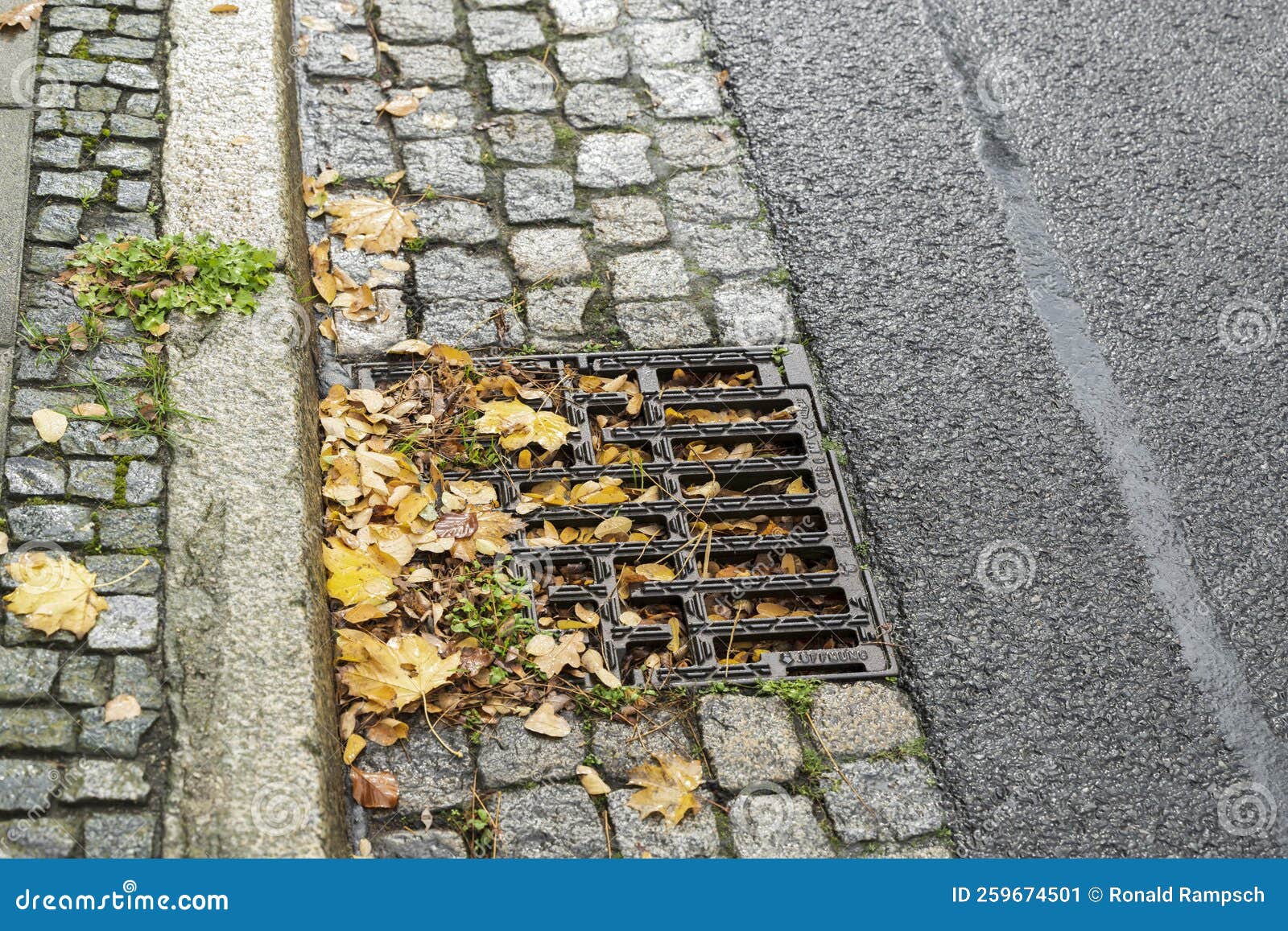 Every Year in the Fall Clog the Drains Stock Image - Image of sewer ...