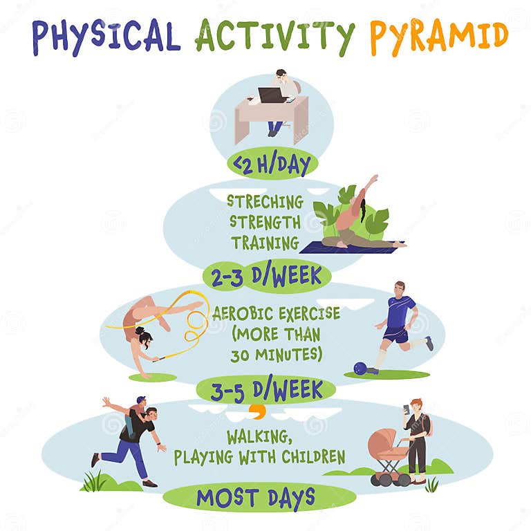 Everyday Physical Activity Pyramid. Vector Illustration Isolated on a ...