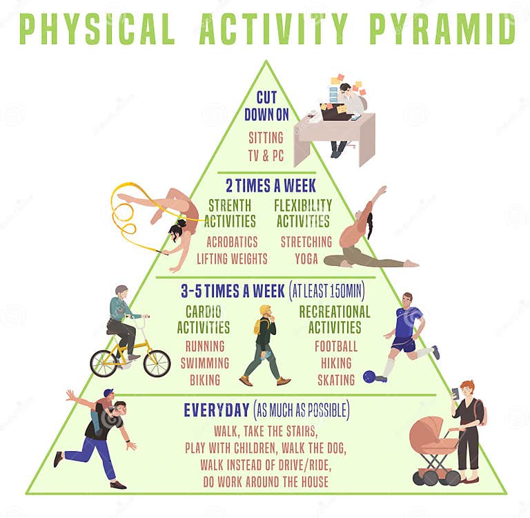 Everyday Physical Activity Pyramid. Vector Illustration Isolated on a ...