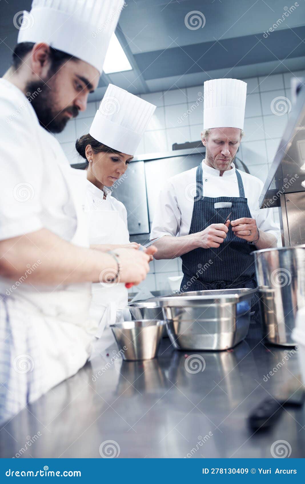 Everyone is Working the Line. Chefs Preparing a Meal Service in a ...