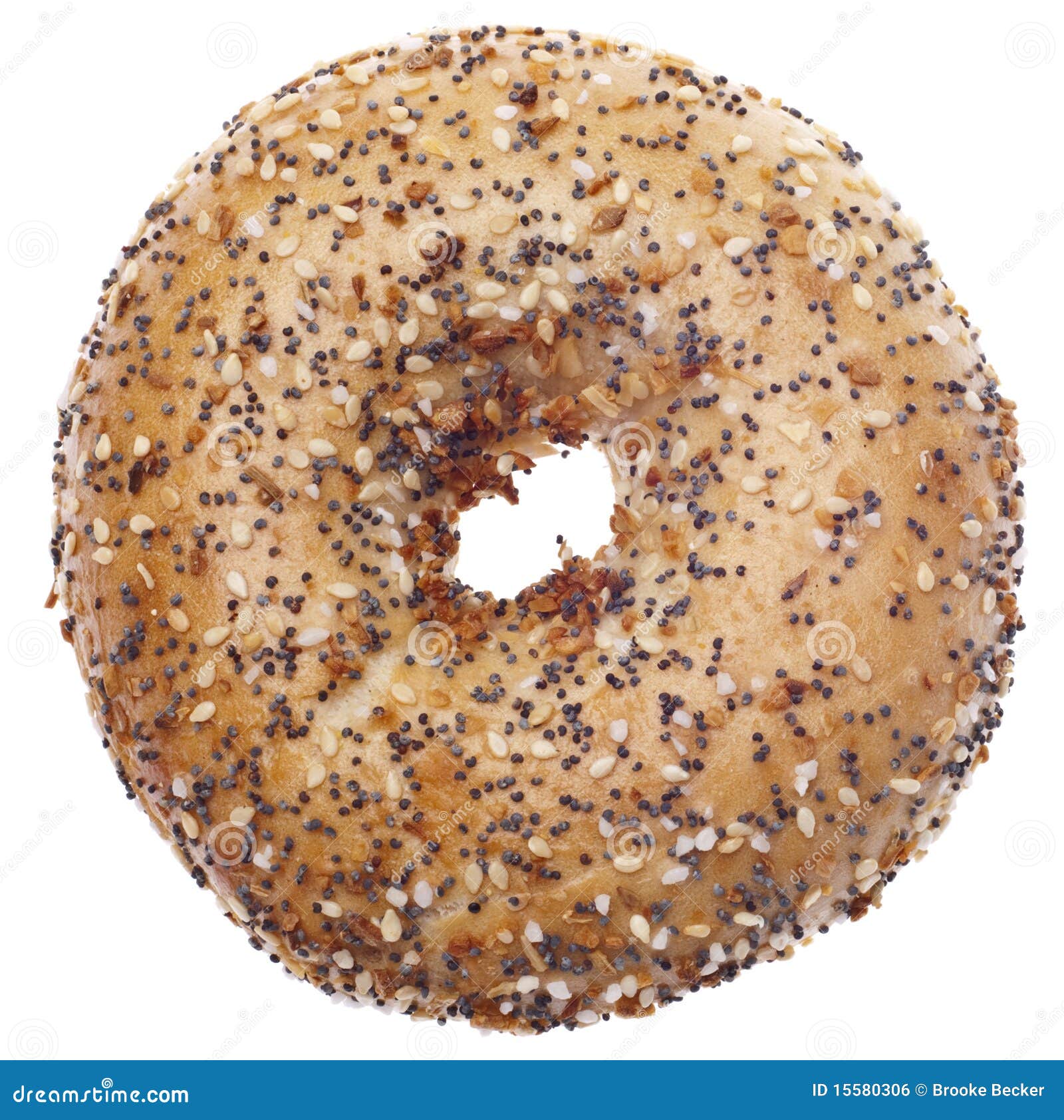 Everything Bagel stock photo. Image of clipping, studio - 15580306