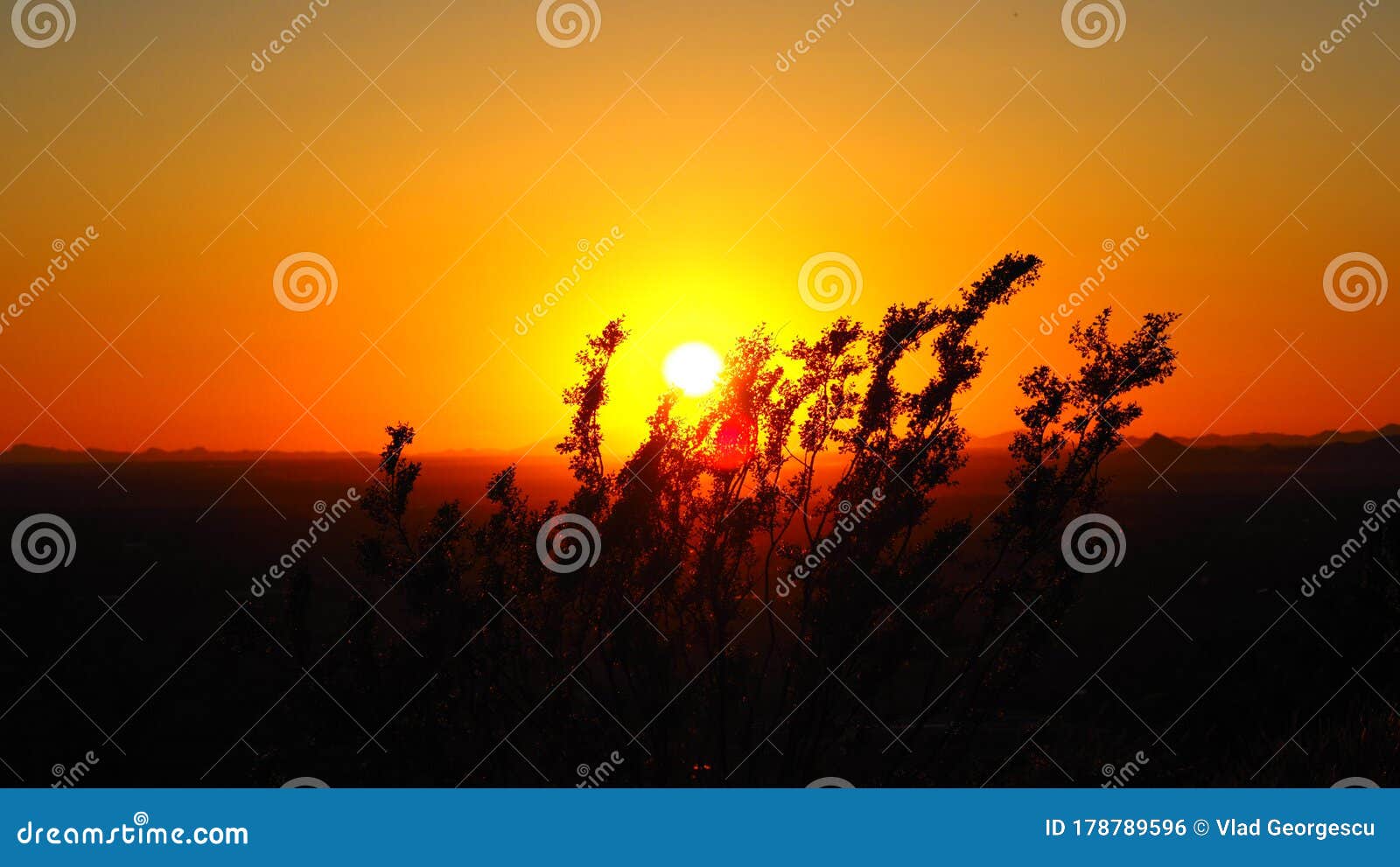 Predestiny stock photo. Image of outdoor, path, vista - 178789596