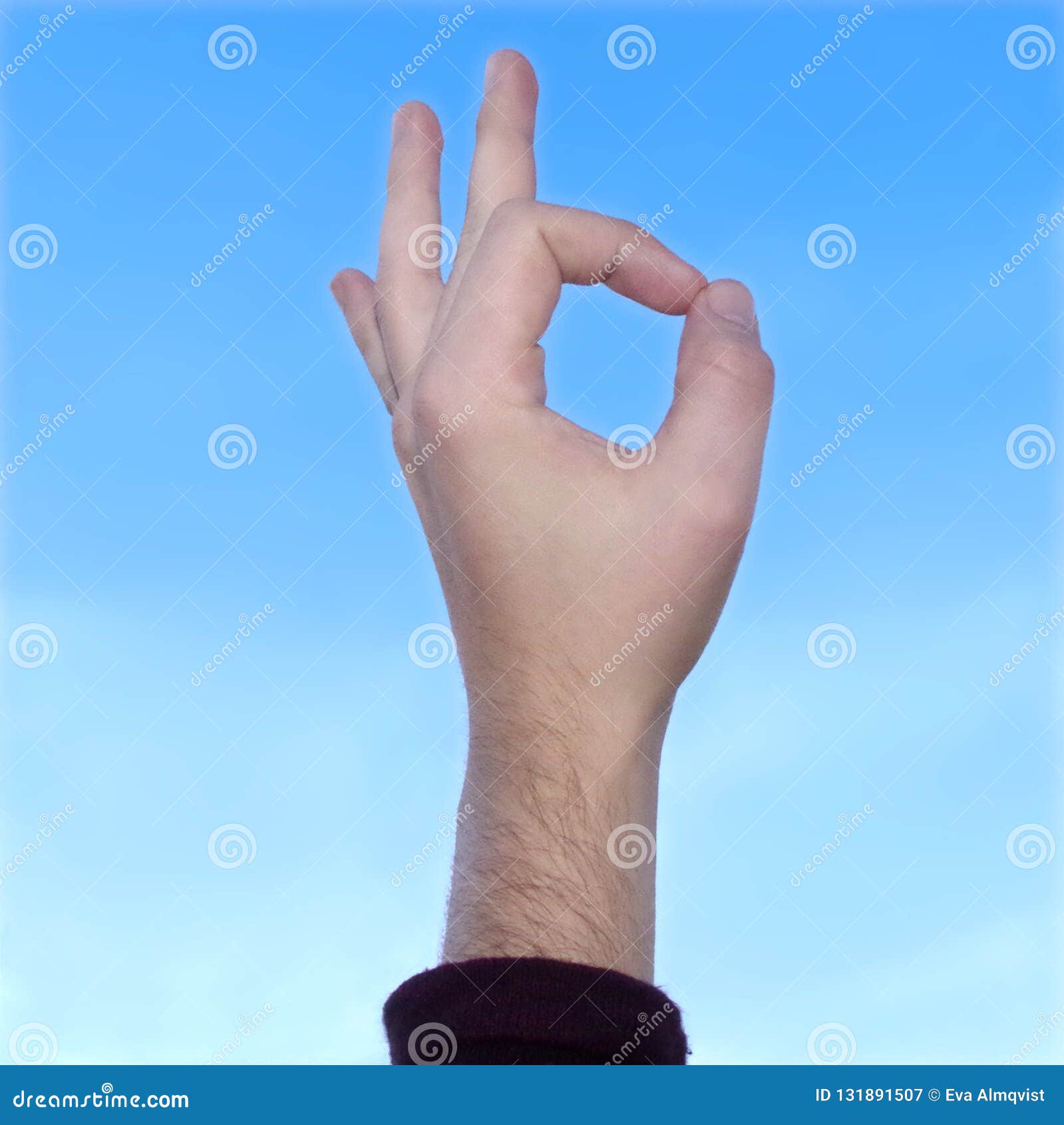 Everything Is Okay, Ok Sign With Hand, Tree Sign With Same Hand Aginst ...