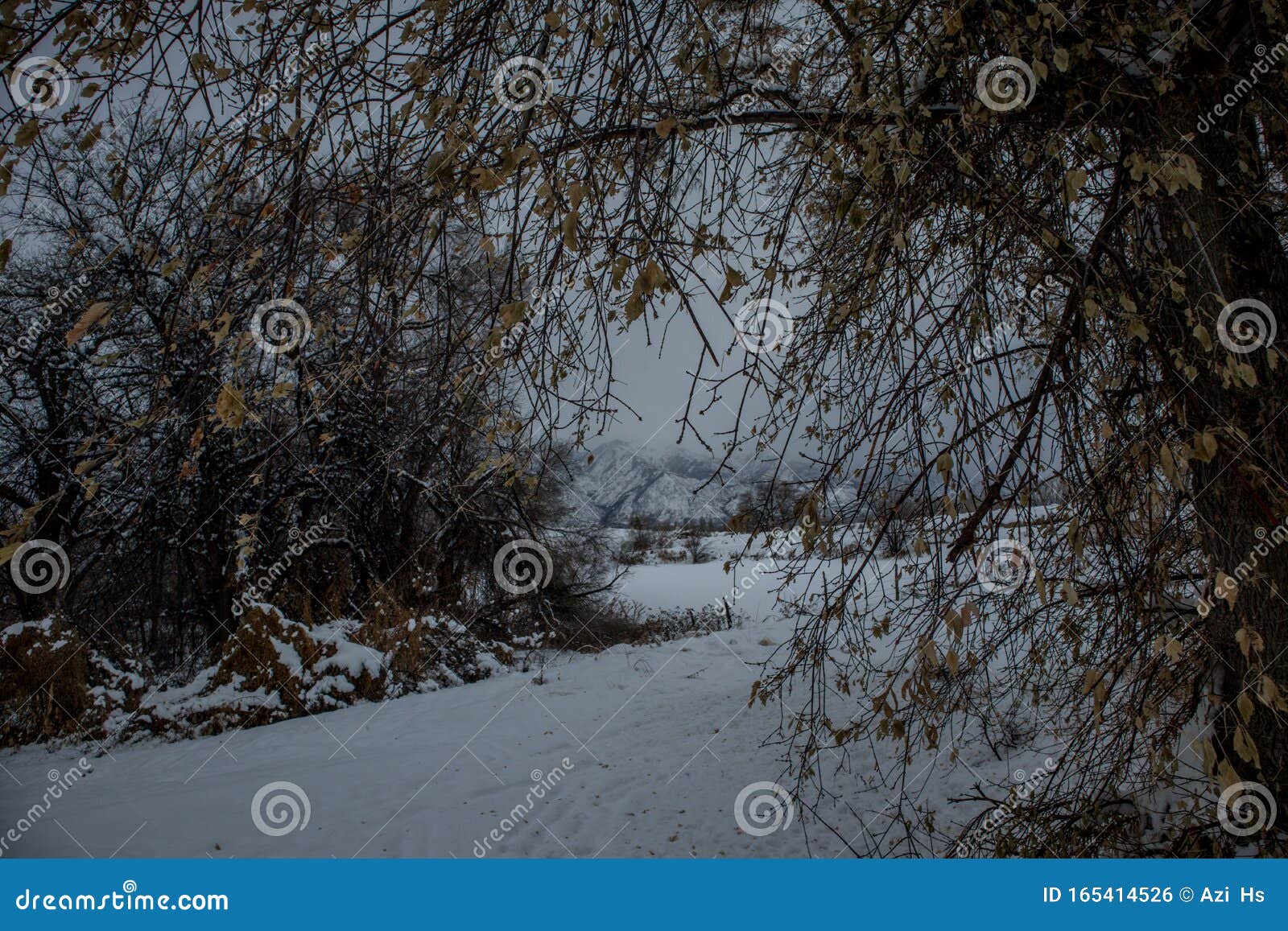 Winter is Coming and Snow ! Stock Photo - Image of canyon, mountains ...
