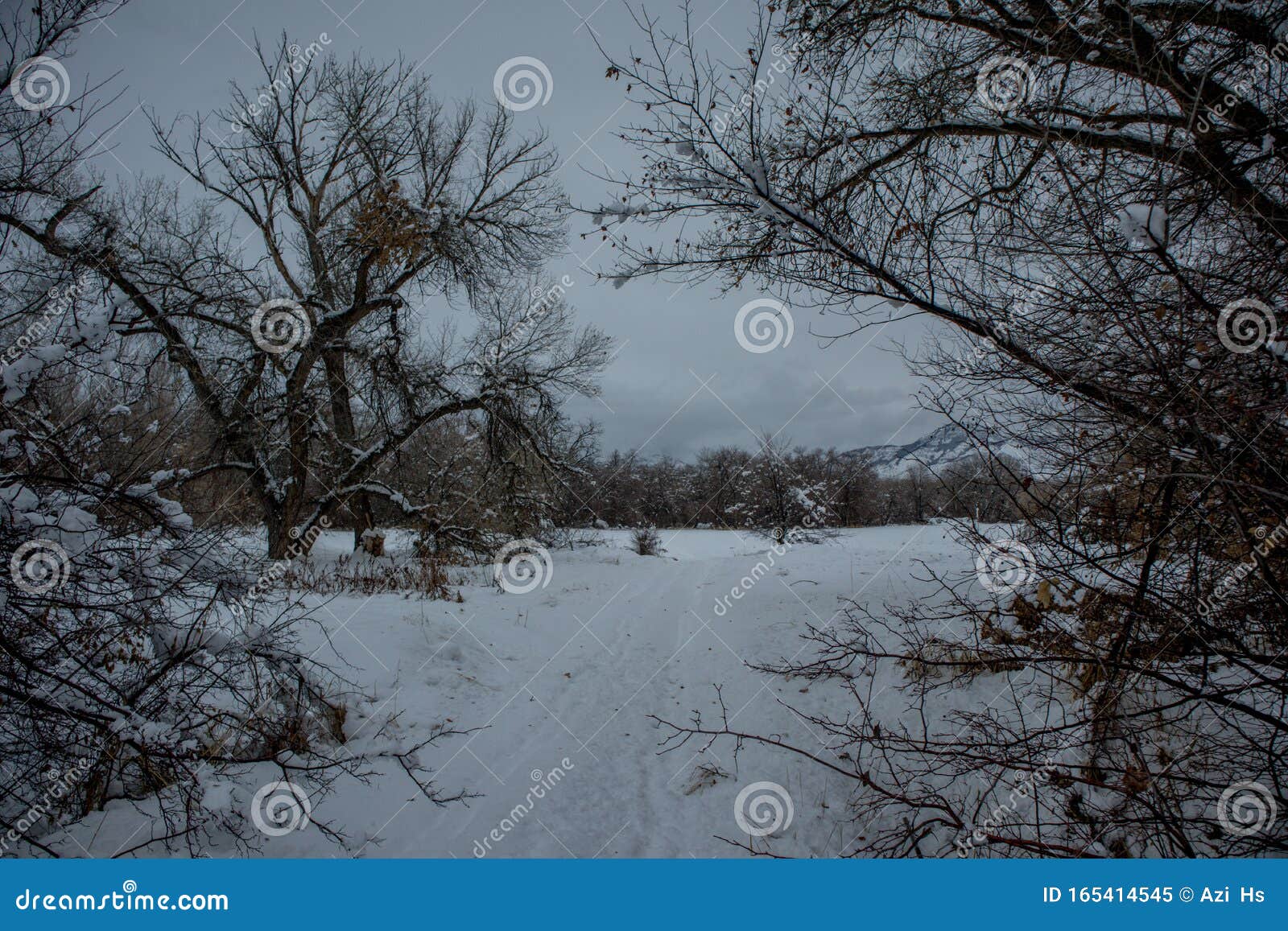 Winter is Coming and Snow ! Stock Image - Image of beauty, canyon ...